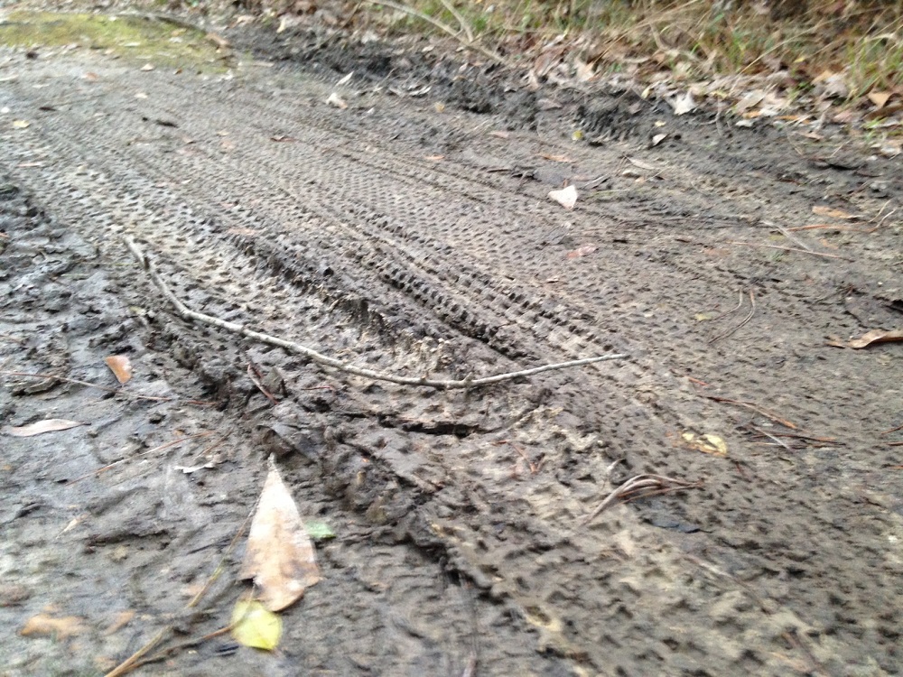 How do I know if I can ride after rain? – "The Farm"